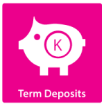 Moni Plus | Fast, Quick and Easy